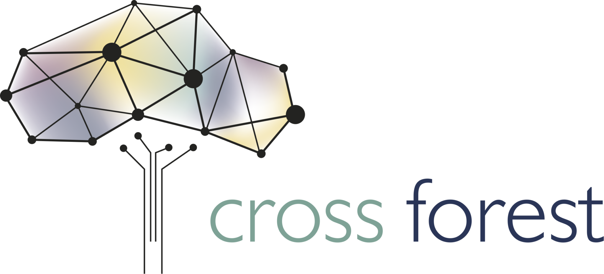 Presentation - Cross Forest